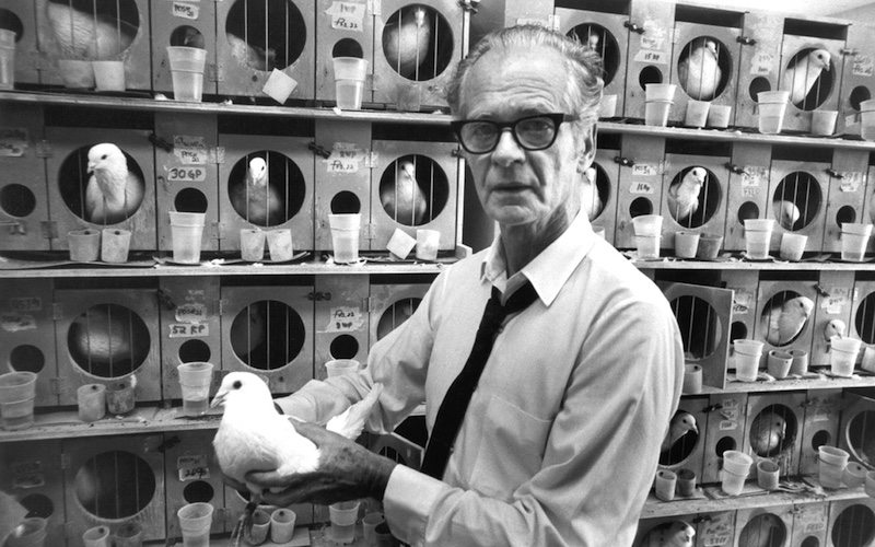 Perspectiva învățării: teoria lui B. F. Skinner asupra dezvoltării ...